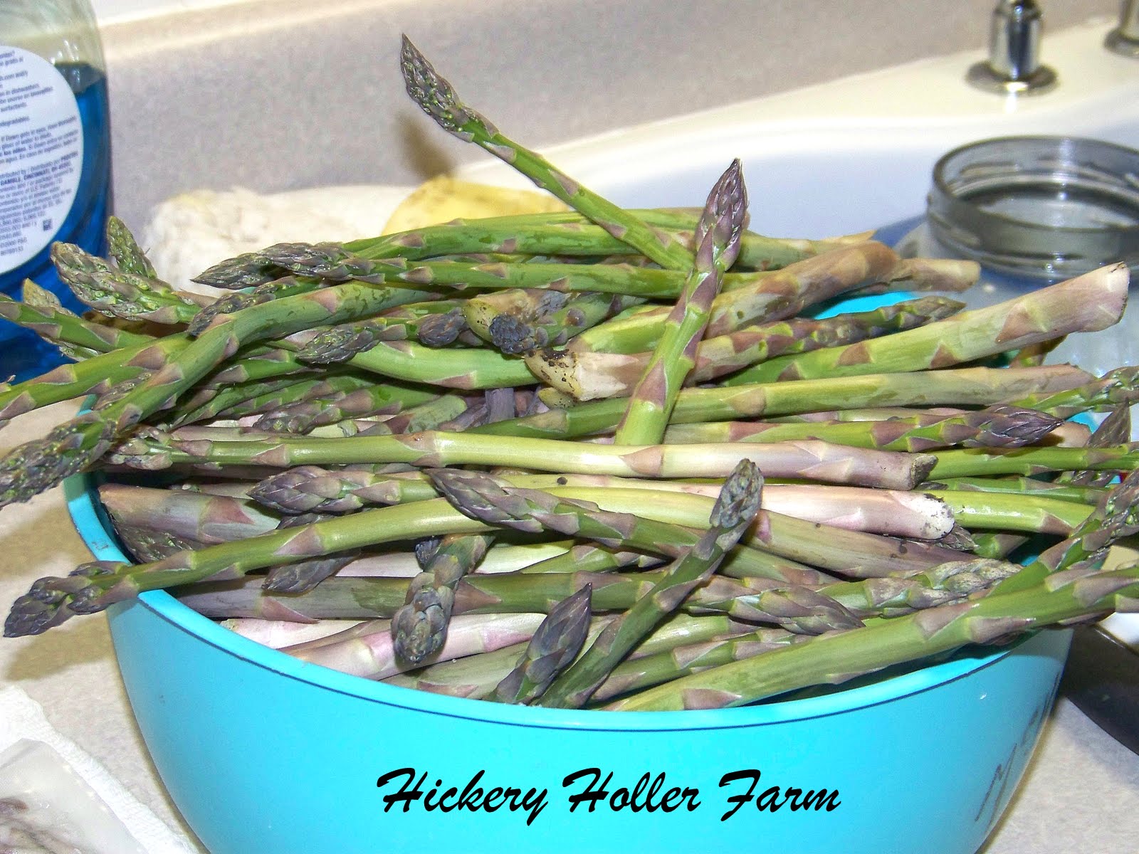 Hickery Holler Farm: Farm Supper