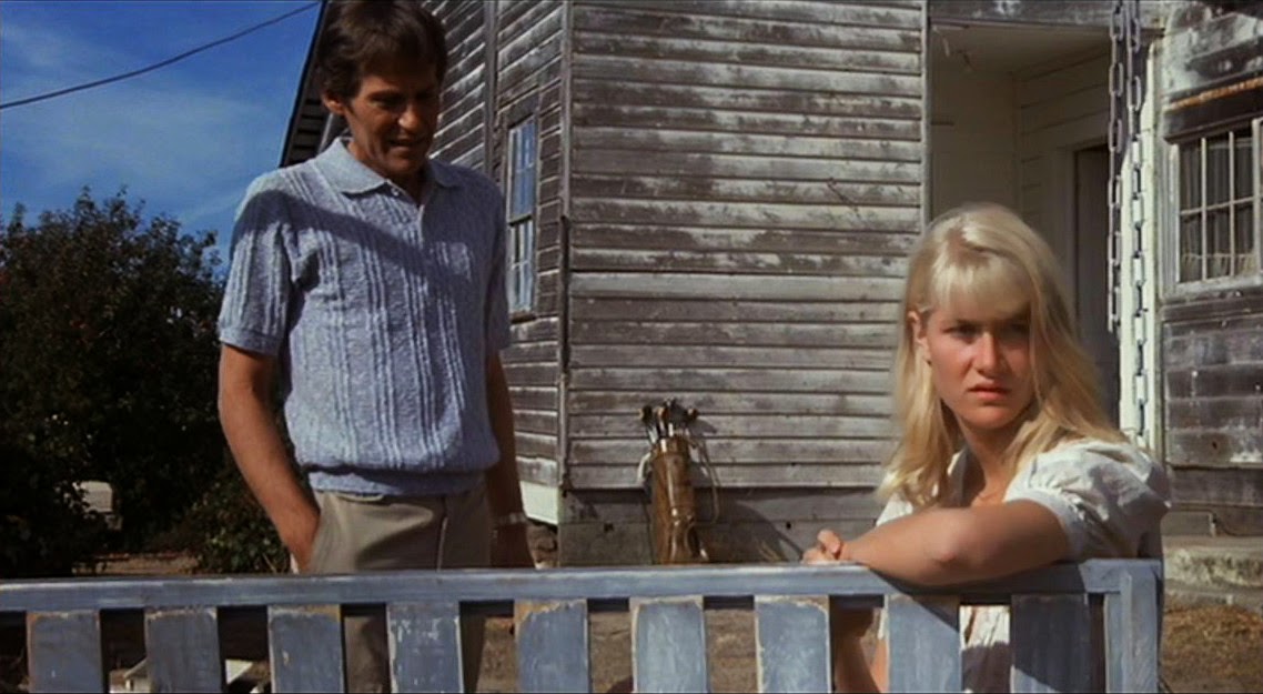 DREAMS ARE WHAT LE CINEMA IS FOR...: SMOOTH TALK 1985