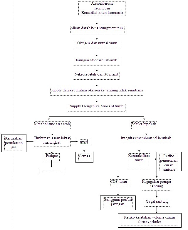 lasopamagazines - Blog