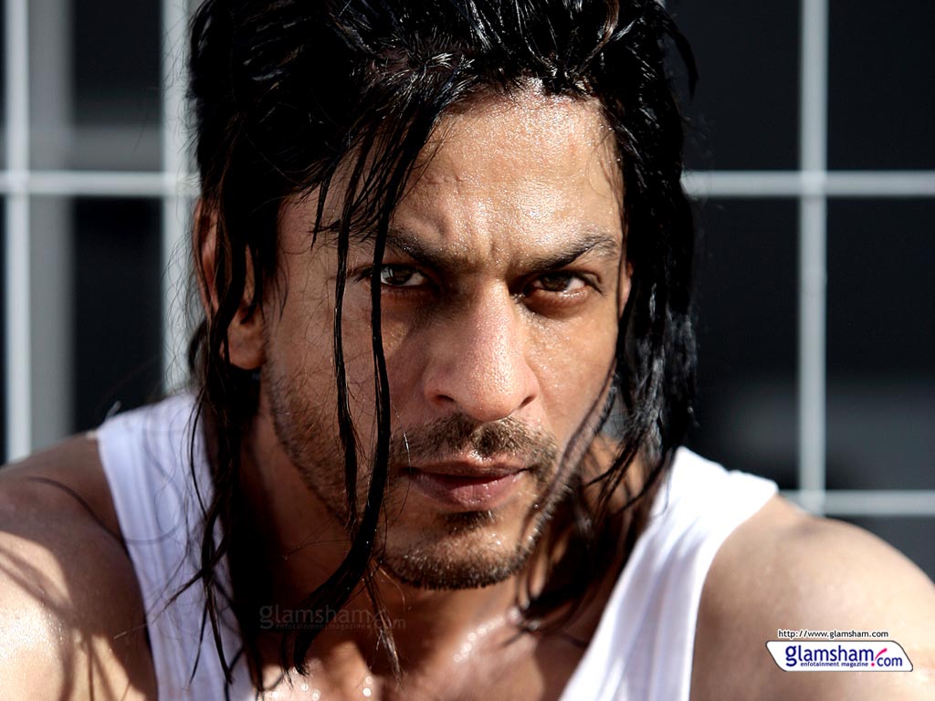 Melissa Molinaro Blog: Don 2 First Look SRK Photos