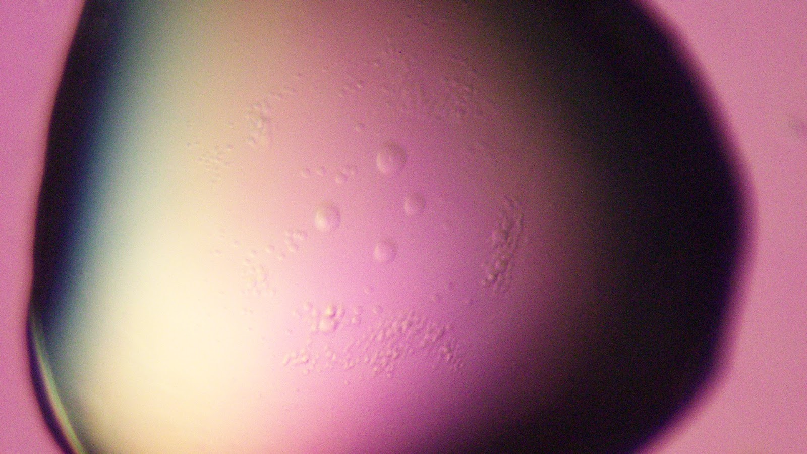 Factor Xa directed Anticlotting serpin like protein (Antithrombin) : MIDAS screen for FXAC MBP ...