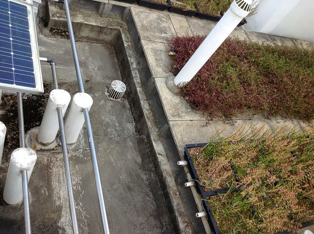 Water Quality in Singapore: Rainwater harvesting in HDB flats? Check ...