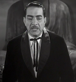 Life and Other Shenanigans: The Batman Identification Guide