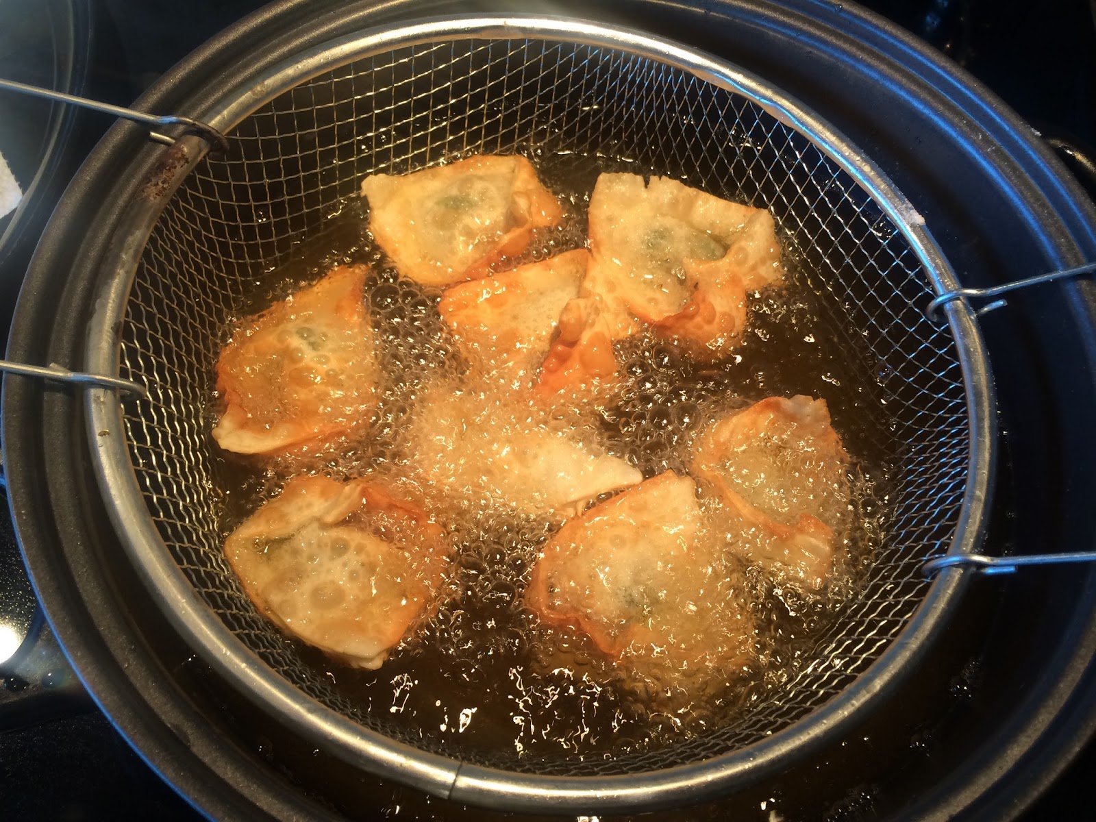 Fried Hun Tun (Won Tons)