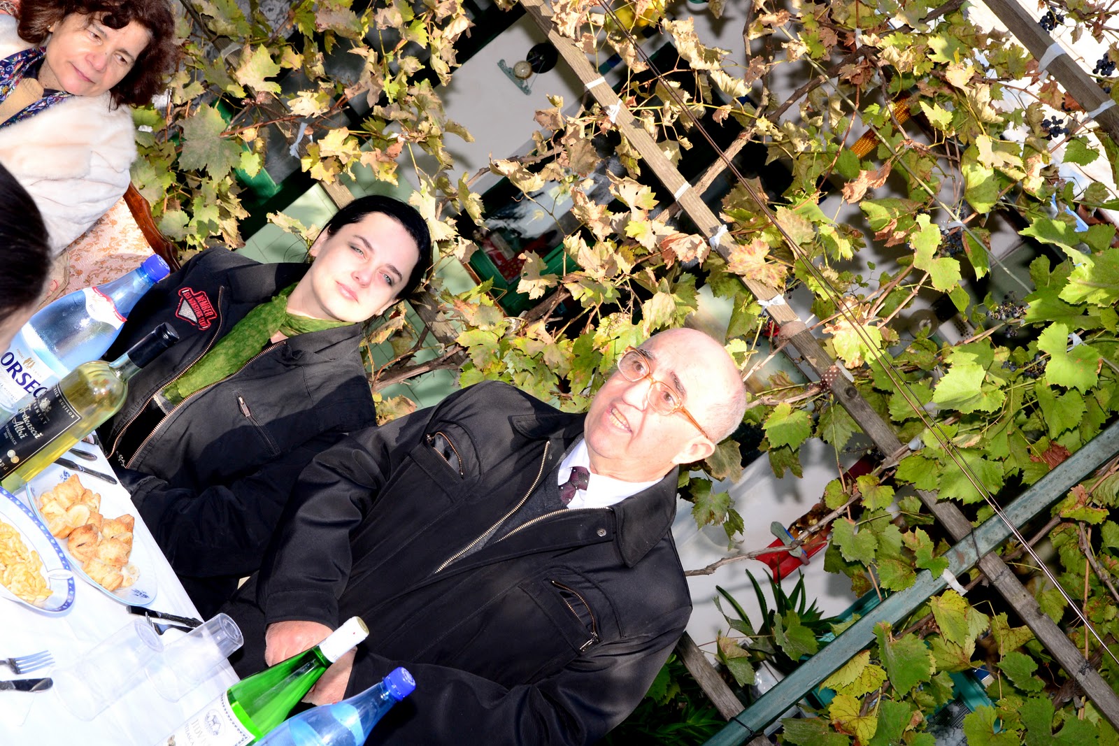 Cenaclul Perpessicius/ Revista de cultura Paradox