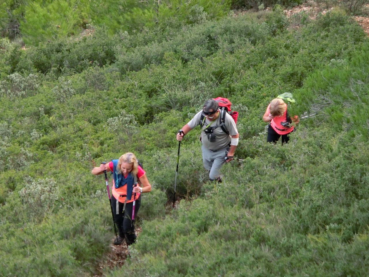 2015 - 10 Vertice geodésico La Silla y el Caporutxo / A+ 895 m / 15,39 ...