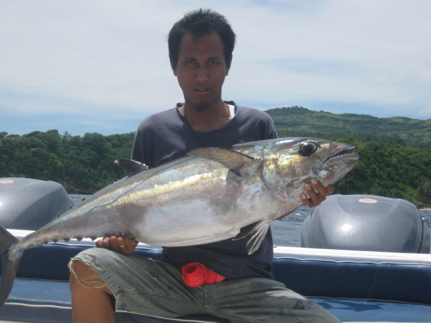 Bali Fishing: 2011