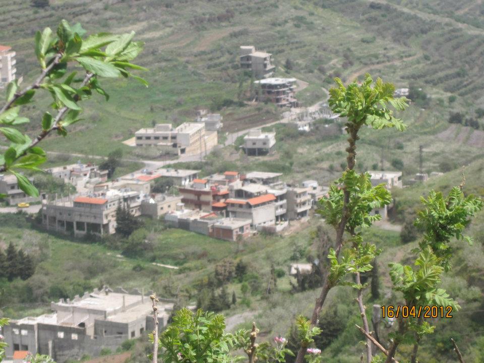 رباح ربيع 2012