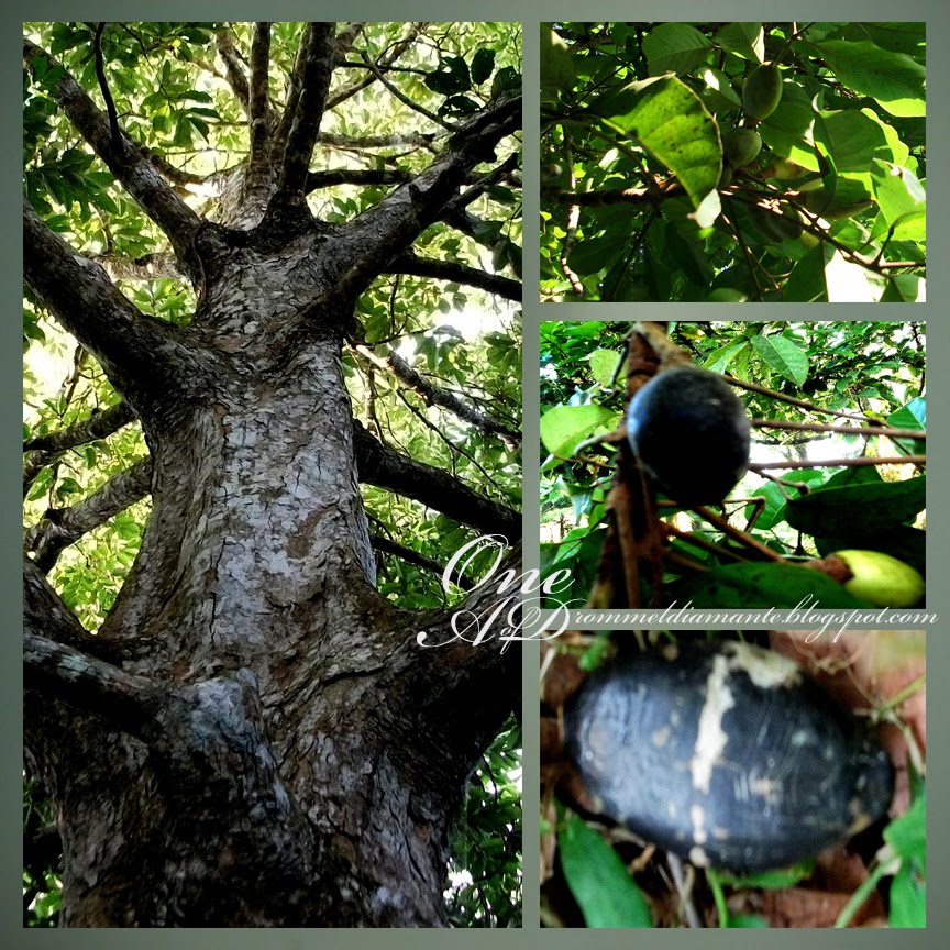 One Acre of Diamond: You are a Child of the Universe