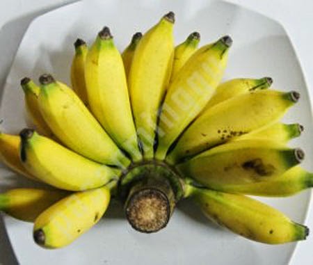 Kandungan Gizi Nutrisi Pisang Lampung & Manfaatnya | Blog Gizi dan Nutrisi