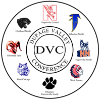 Boring Old White Guy: Are you a fan of the DVC?