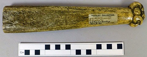 Pitt Rivers Object Collections: Maori Wood Carving Tools