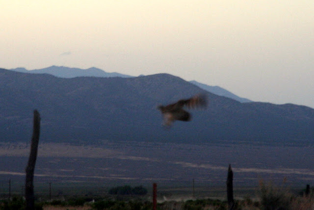 Yates Family: Family Outings: Blessing or Curse?