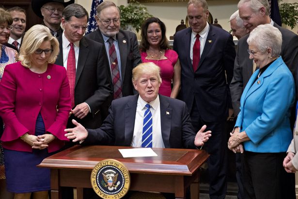 Donald Trump moans about his tiny desk(Photos) - LONELY CORPER