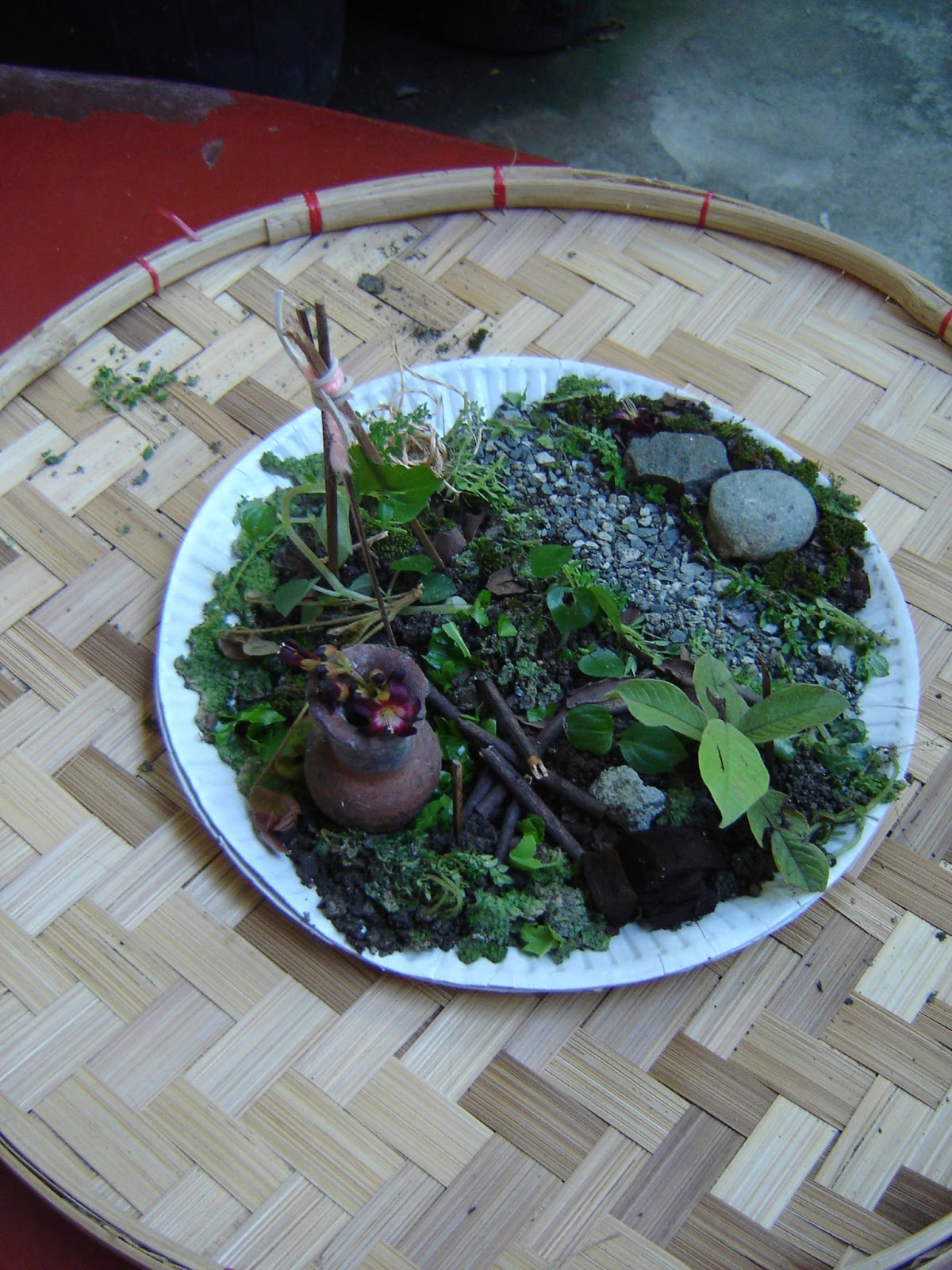 Riona's (A.K.A. Amorina) Pages: Miniature Moss Plate Garden