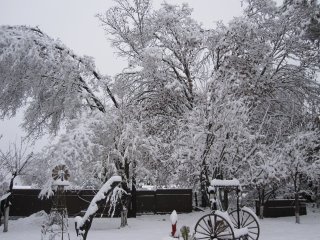 A Jewel Divinely Rare