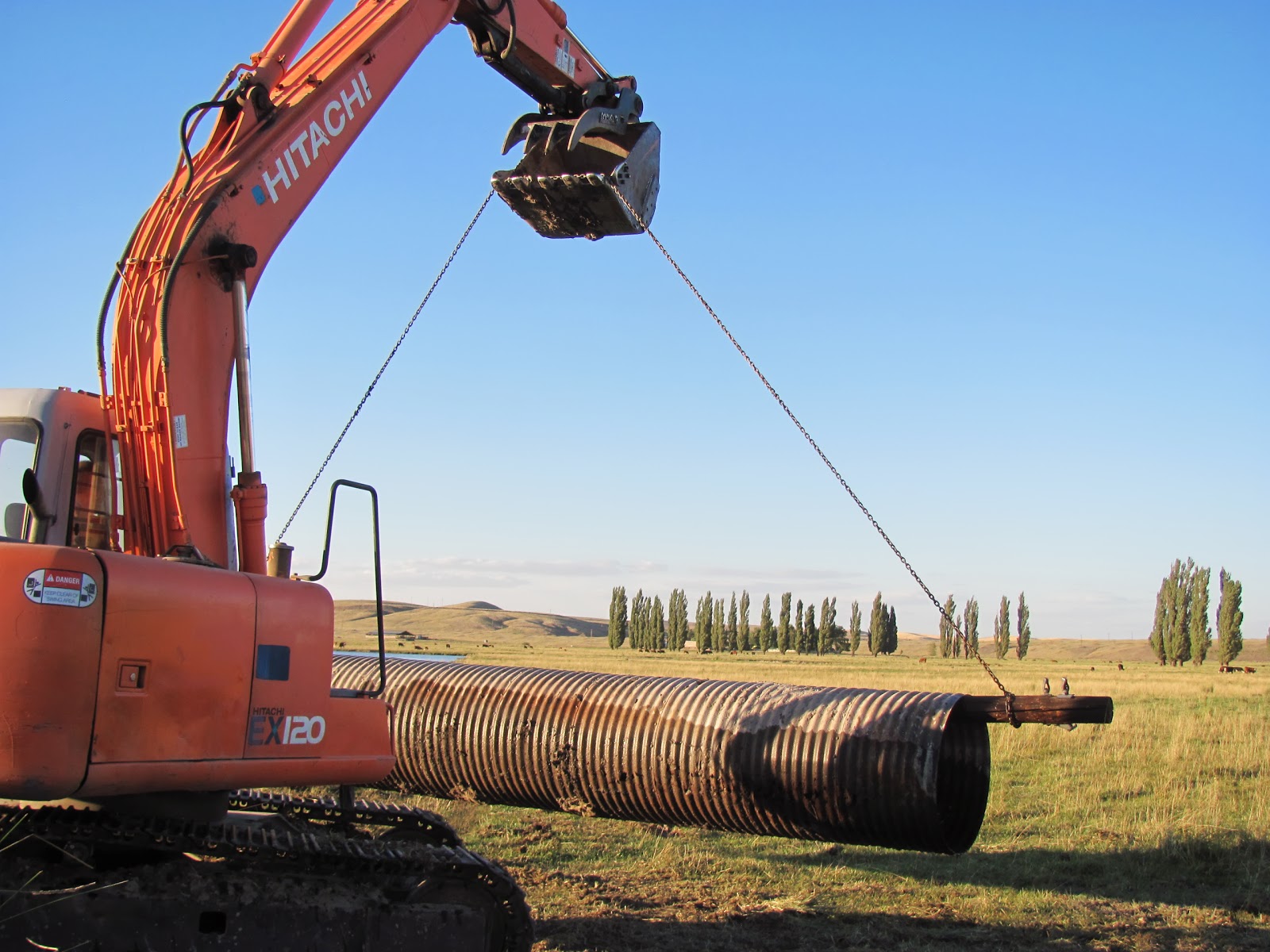 My Ranch Life: What would a cowboy do?