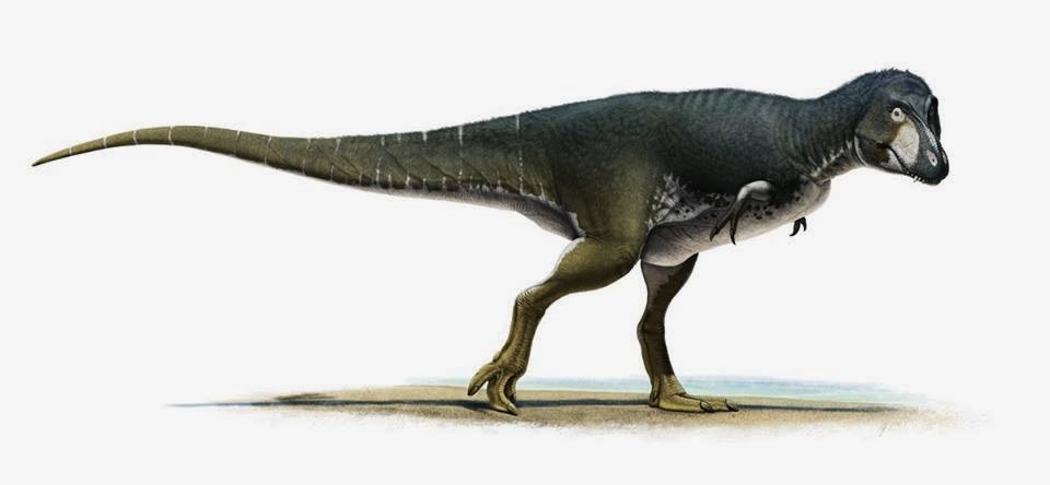 Species New to Science: [Paleontology • 2013] Lythronax argestes ...