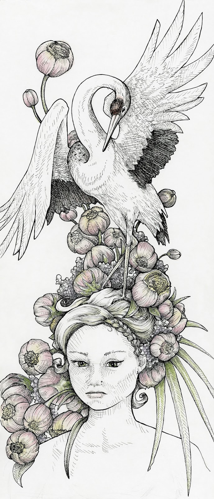 Desarae Lee Illustration