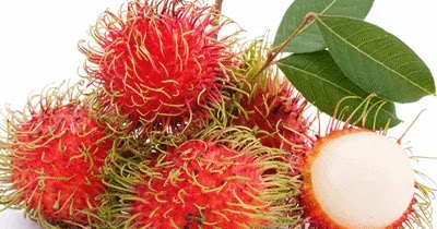 Ternyata Ini Manfaat Buah Rambutan Yang Jarang Diketahui!!!