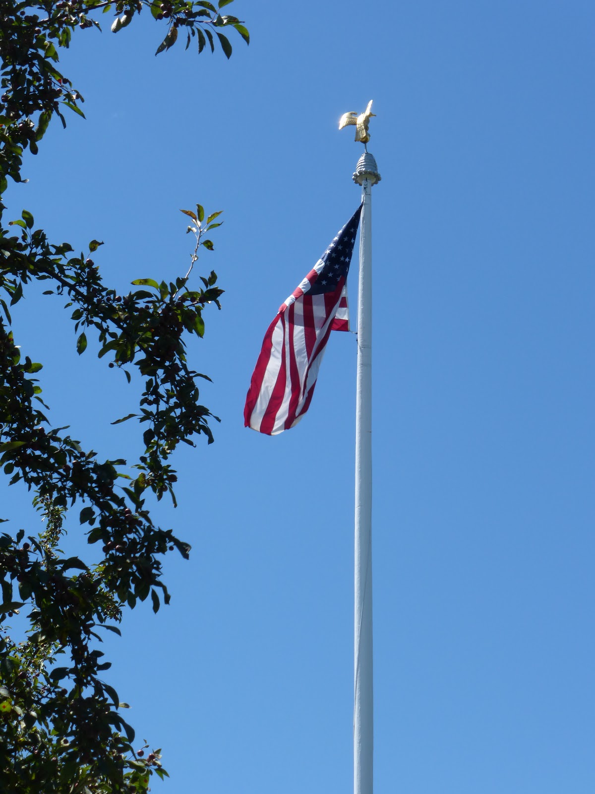 Nutfield Genealogy: The Portsmouth, New Hampshire Liberty Pole Eagle