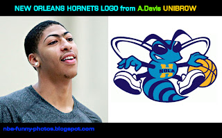 Anthony Davis Unibrow | NBA FUNNY MOMENTS