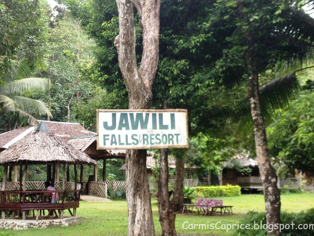 Carmi's Caprice: Jawili Falls, Kalibo Aklan