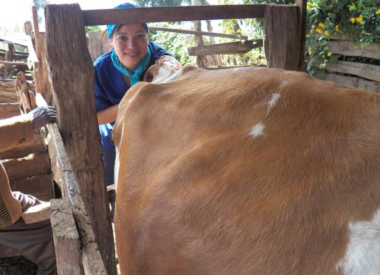 Farmers Helping Farmers: Week 5 with the Naari Dairy Group, by Emily ...