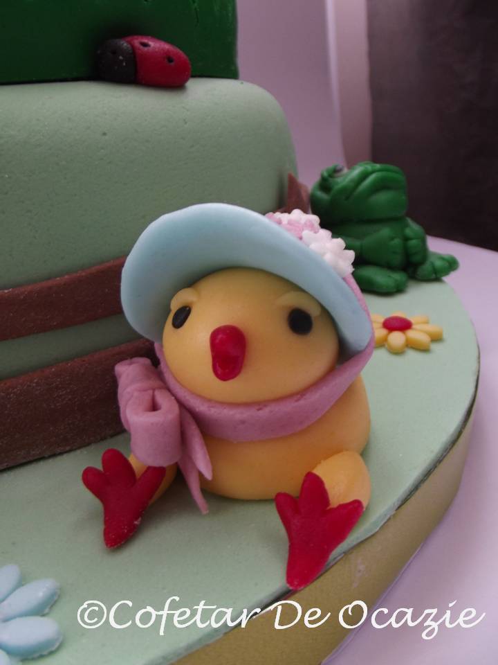 Tort "Ferma cu animale" / Animal Farm Cake - simonacallas