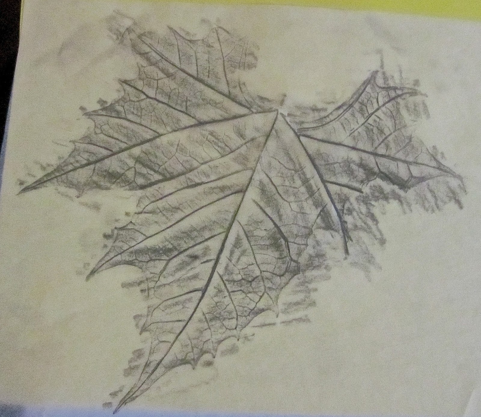 JKW Art: Tracing Leaves