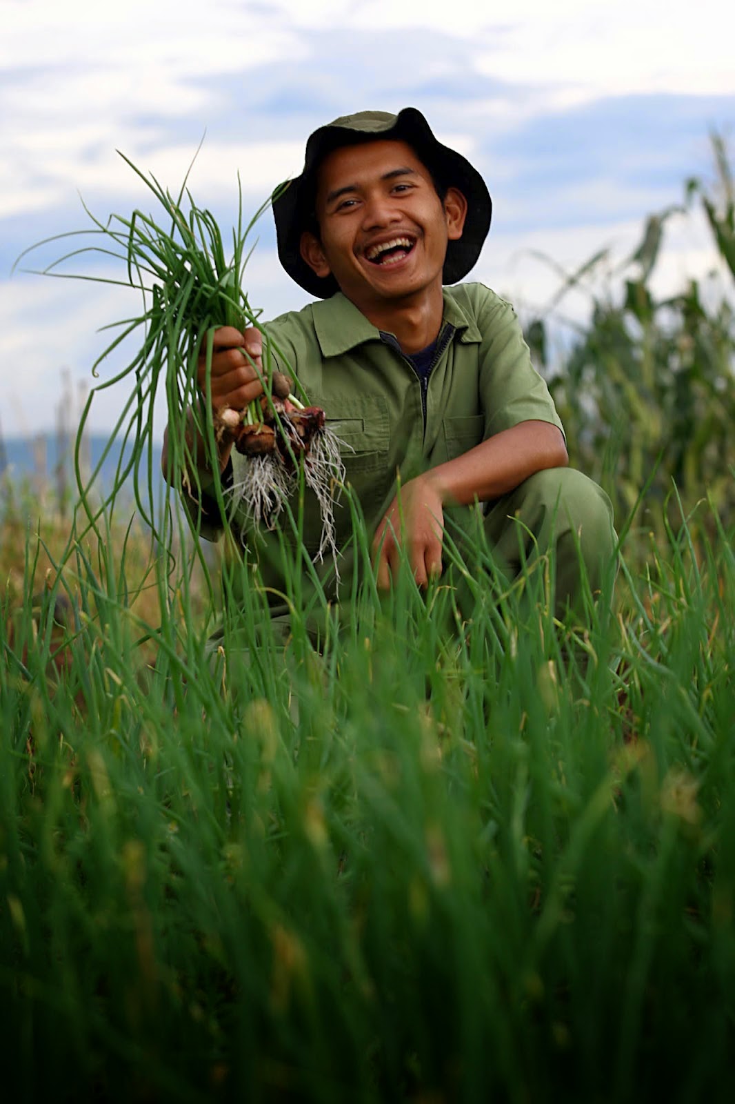 Petani Muda Indonesia | Blog Anak Muda