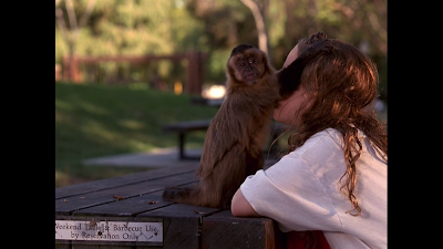 Monkey Trouble (1994) - AoM: Movies et al.