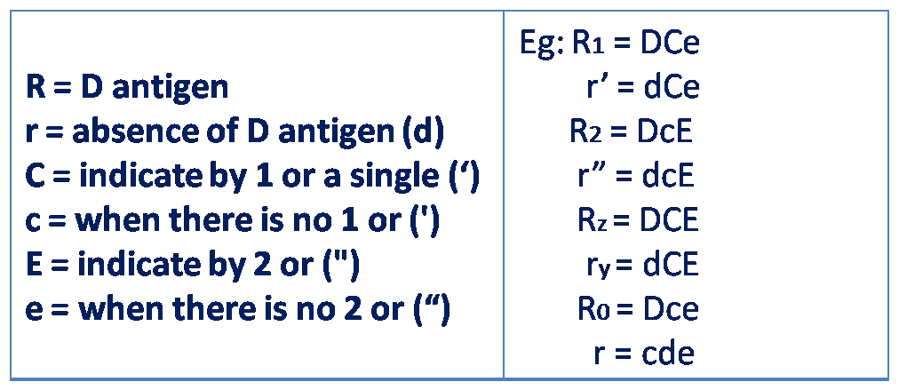 B-L-O-O-D: Rh BLOOD GROUP SYSTEM