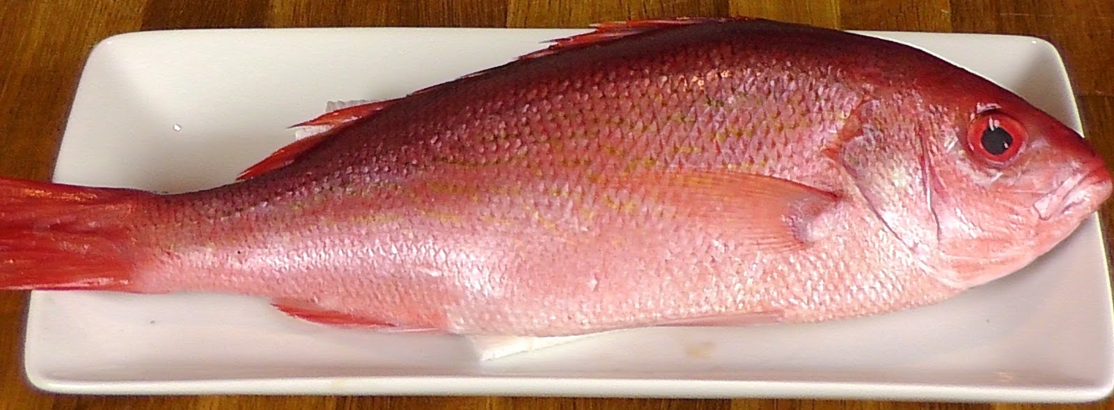 Red Snapper Healthy Benefit for Your Body - Fresh Red Snapper, Buy Red ...
