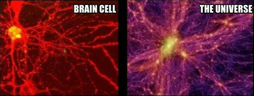 Physicists of the Caribbean: Things That Look Like Other Things