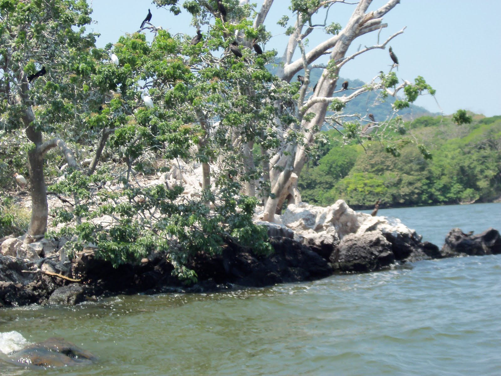 La Sierra Mágica de Los Tuxtlas.: La Isla de Las Garzas