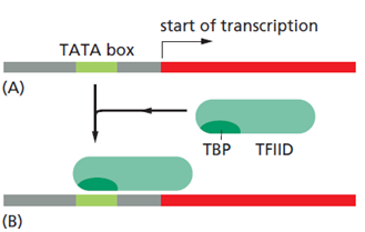 Club OIAB: febrero 2018