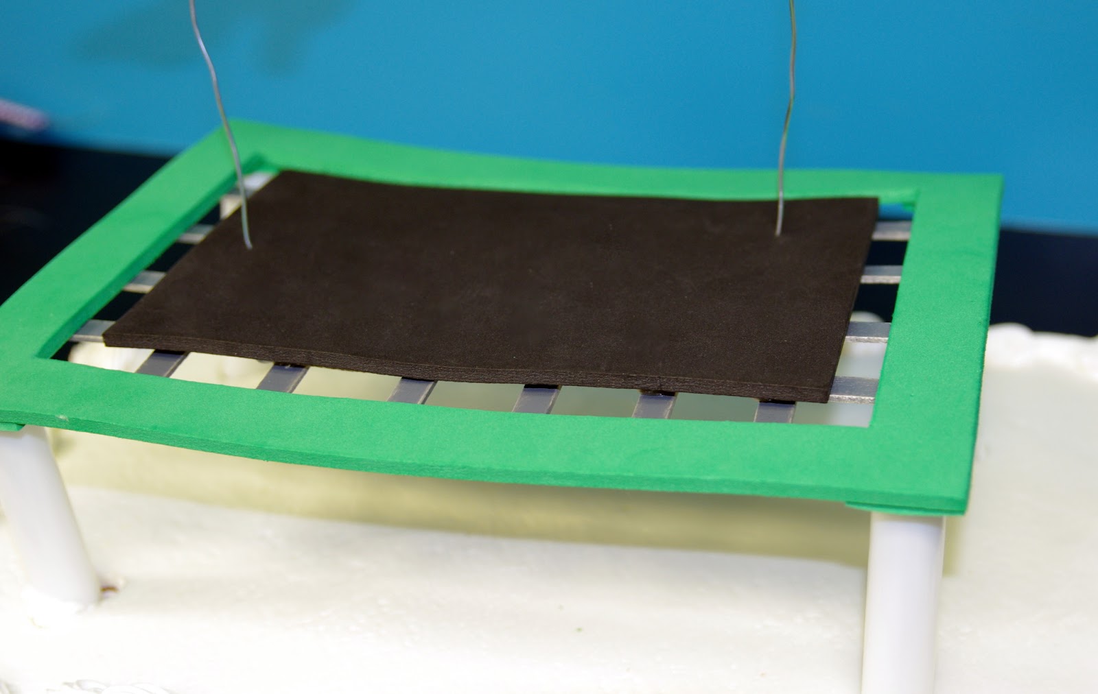 Life in Wonderland: Jumping on the (Birthday) Bandwagon