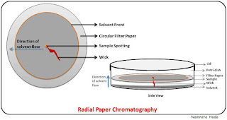 B for Biology: Chromatography - Paper Chromatography