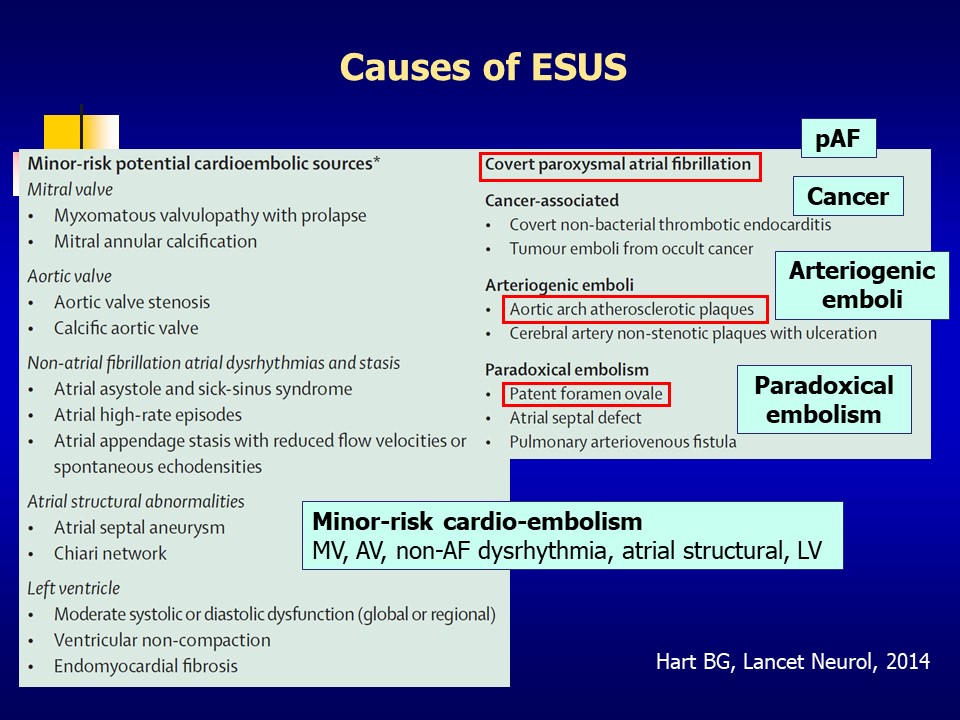 謝鎮陽醫師: ESUS 之我見