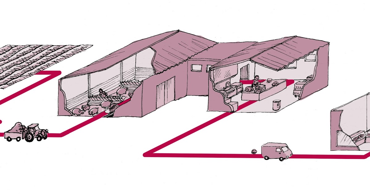 Arpentages : des fermes et des systèmes: LE PROJET D'ARPENTAGES