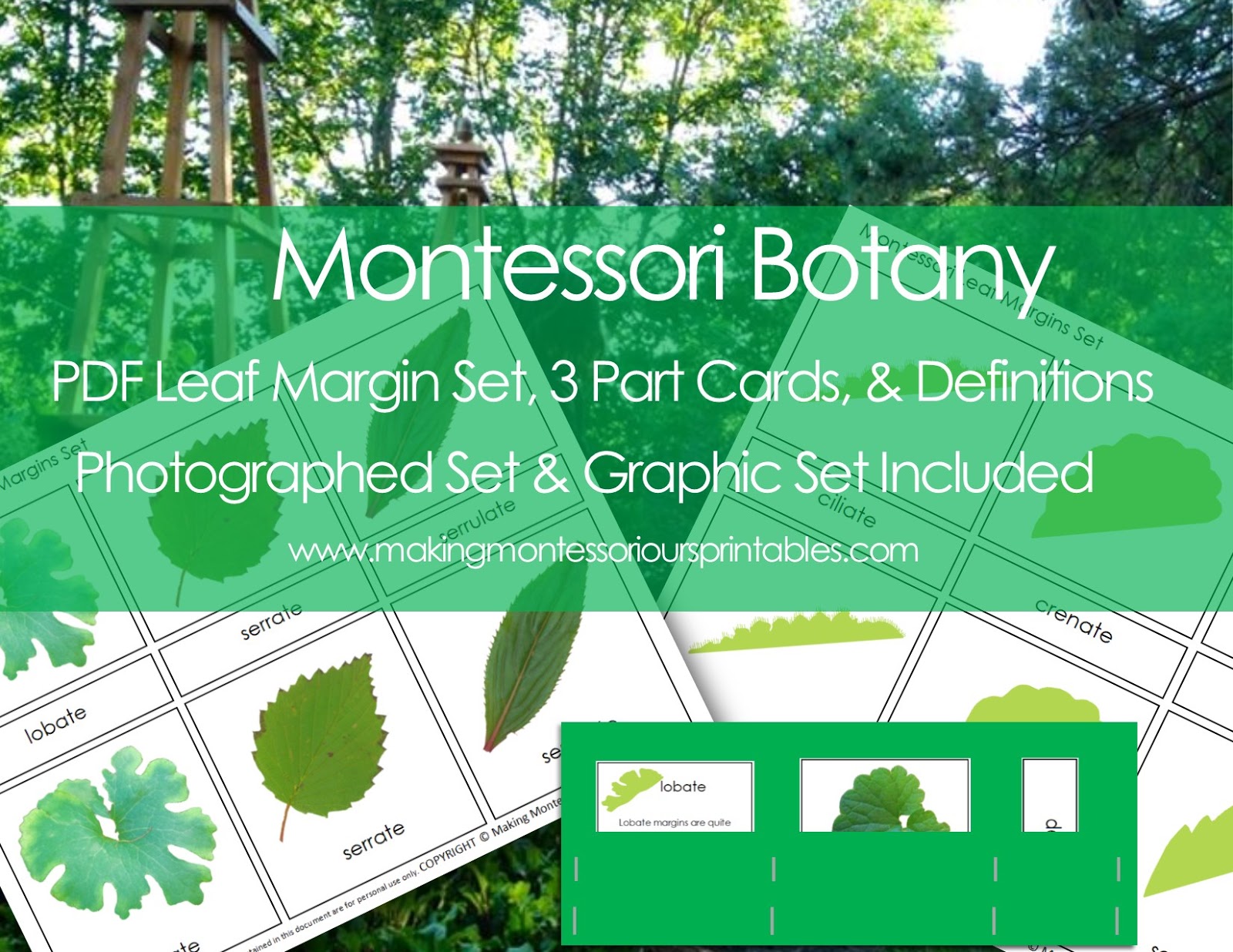 Playing with Leaves, Montessori Botany Activities at Home - "Making ...