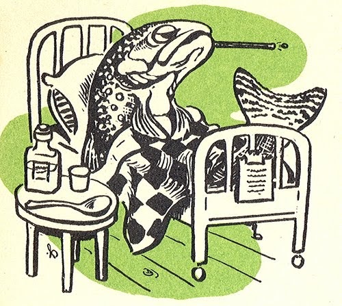 AquaticsZone: What To Do When Your Fish Are Sick