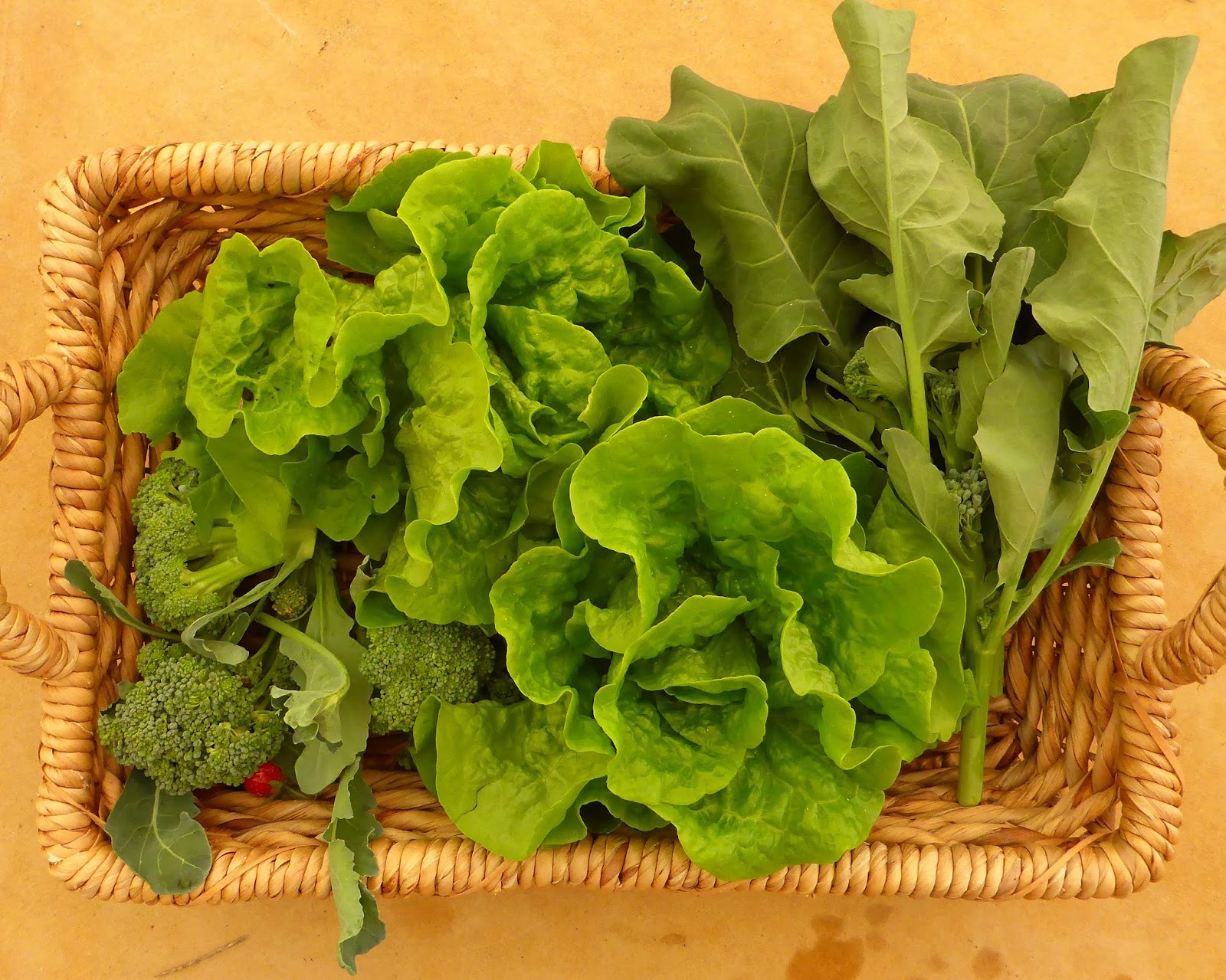 From Seed To Table: Harvest Monday - August 1, 2016