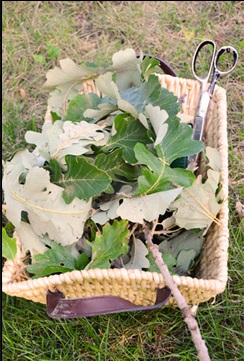 Leaf Jump Rope | Munchkins and Mayhem