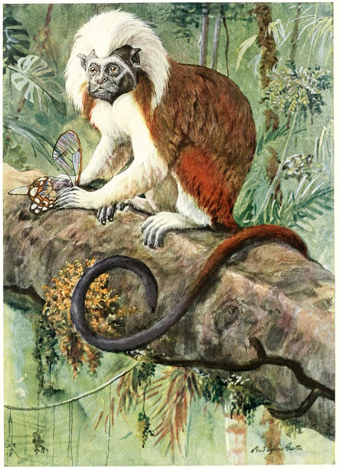 Telecanter's Receding Rules: October 2012