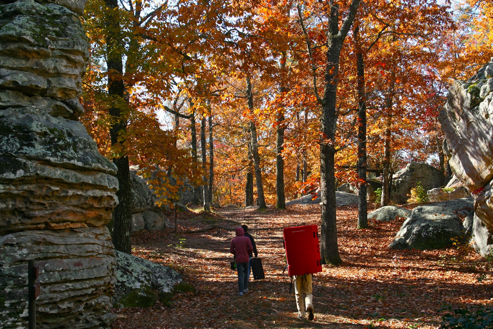 just the two of us: Horse Pens 40.