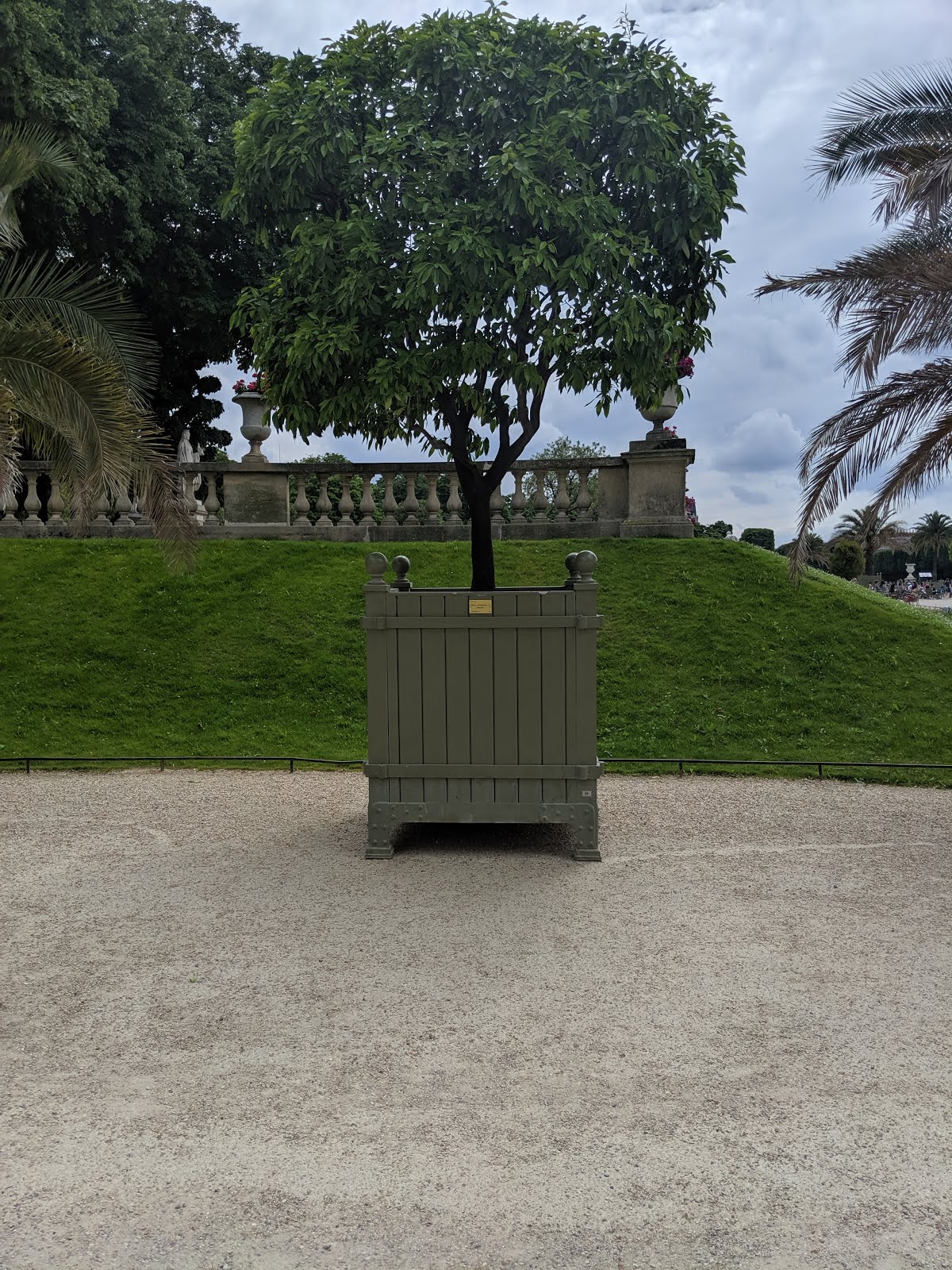 Versailles Green Tree Boxes - Paris Inspiration and Garden Dreaming
