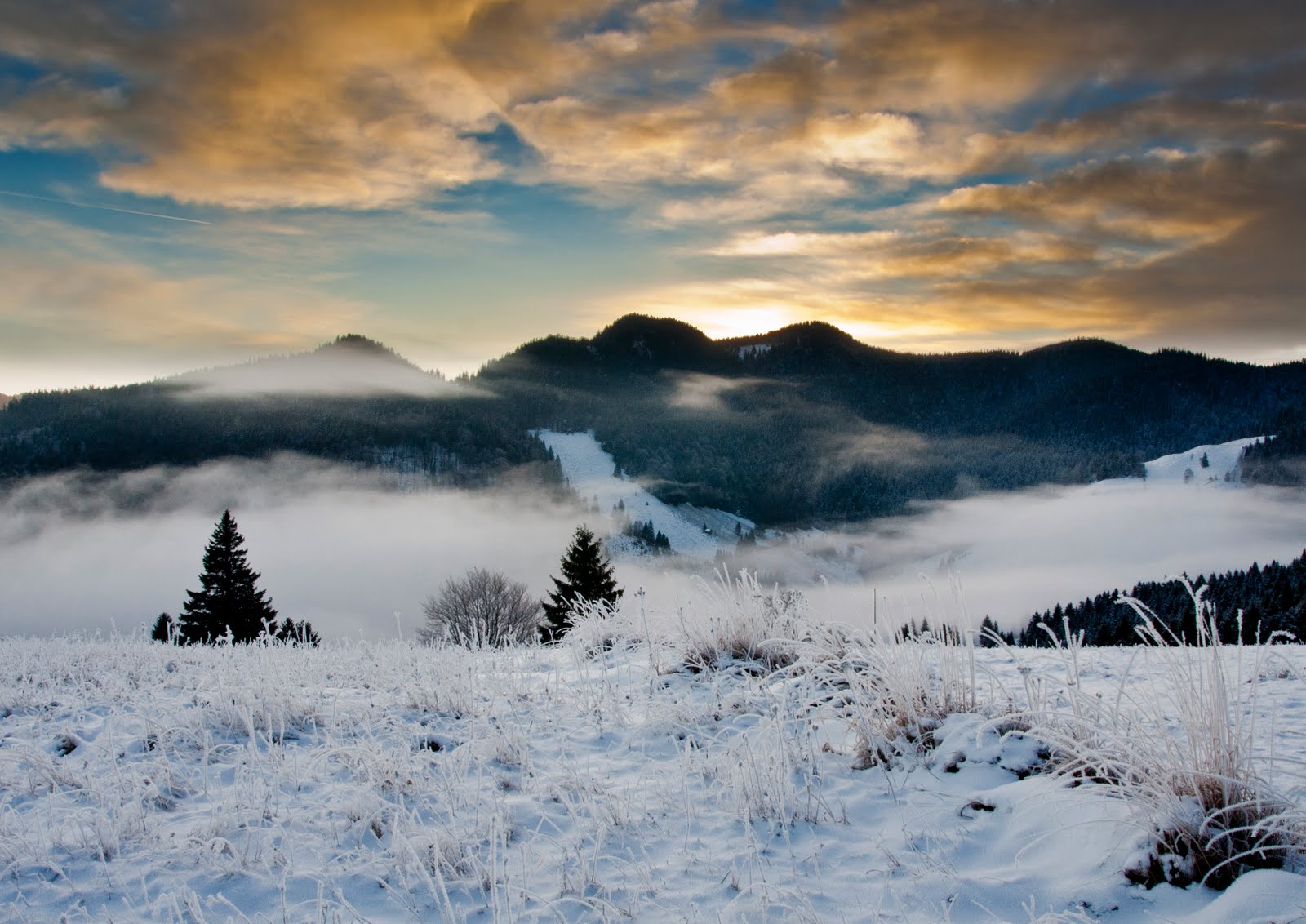 be fearless...: Iarna - un basm