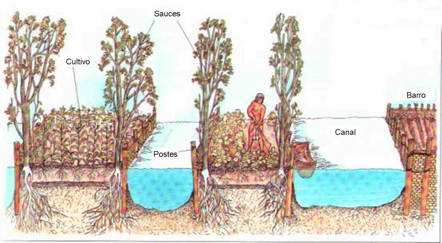 Clio-Mexico-luiselli: Chinampas